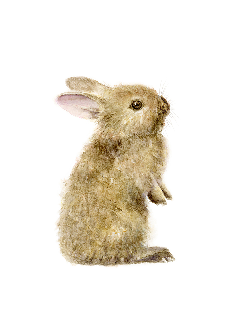 Bunny Tipi Art Print by Bri Buckley | Mahoneys Art